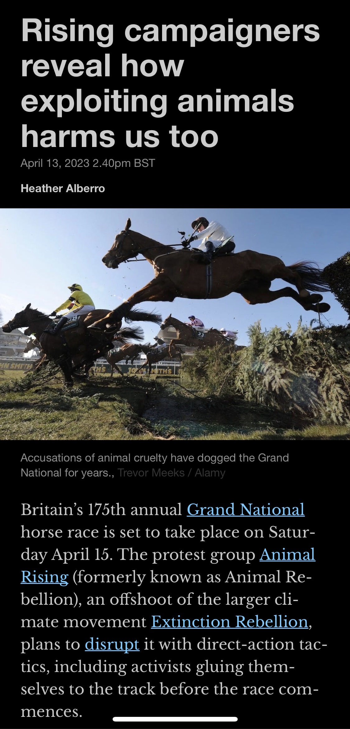 Horse race causes modern-day man vs animal debate - CarrZee Sustain ...