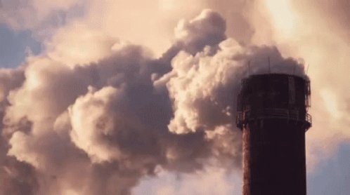 Companies DON’T buy carbon credits as a license to pollute: Trove ...